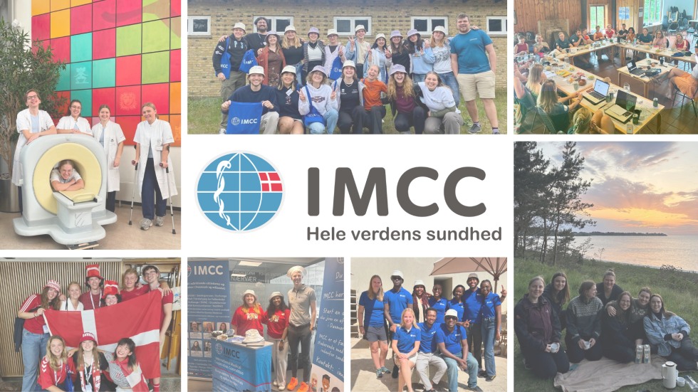 Økonomimedarbejder til IMCC (20-30 timer) | IMCC